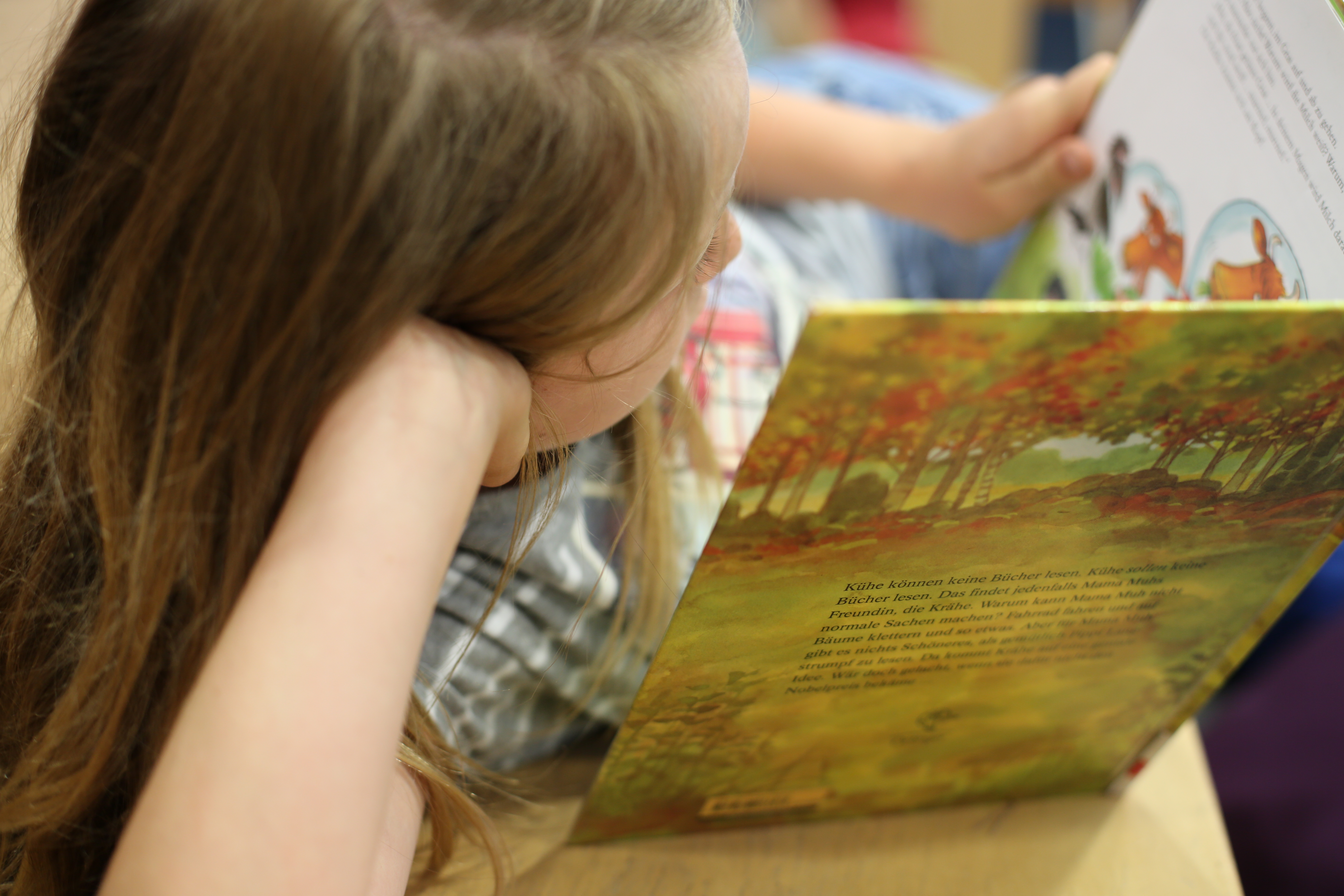 Lesen | wirlesen.org