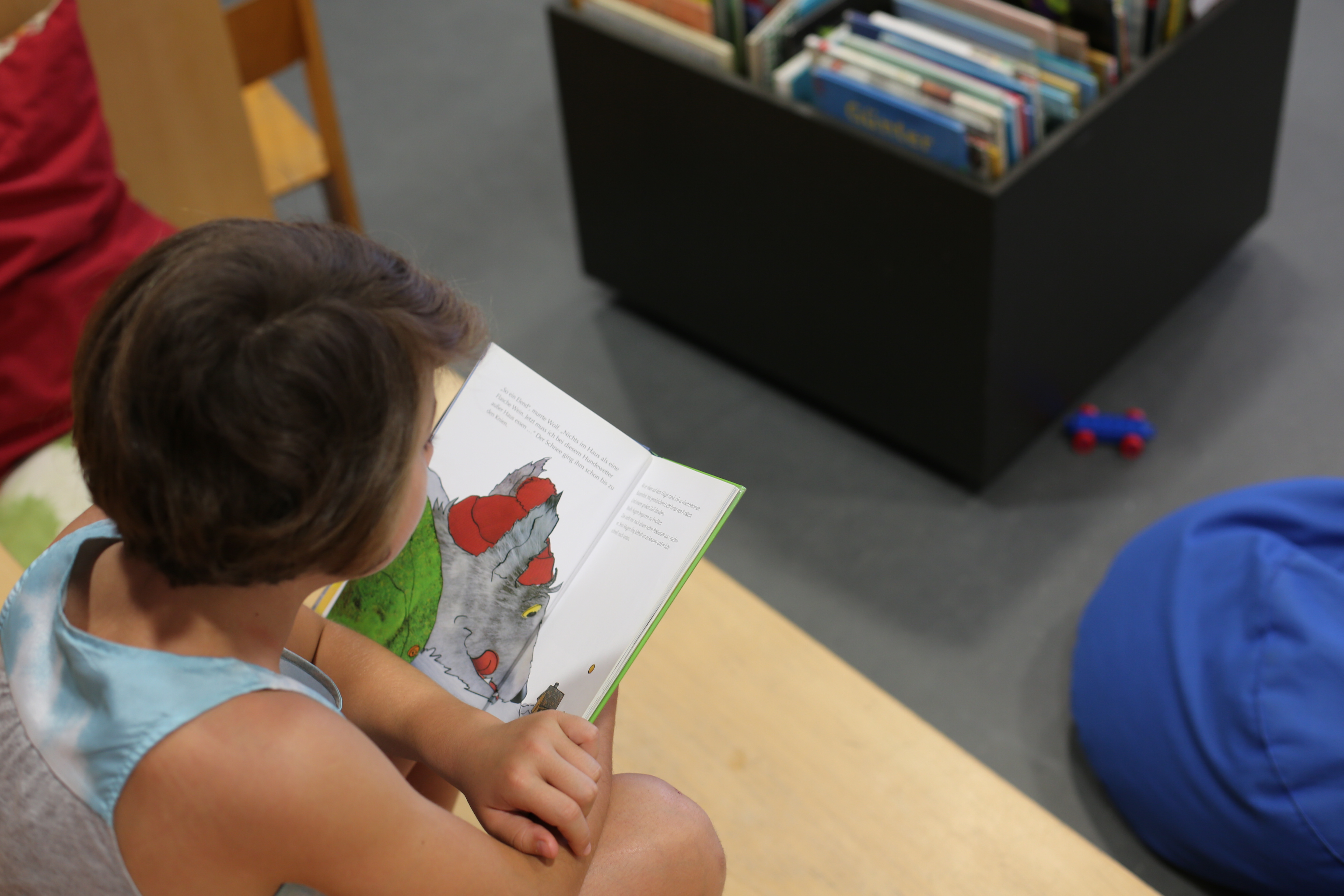 Lesen | wirlesen.org
